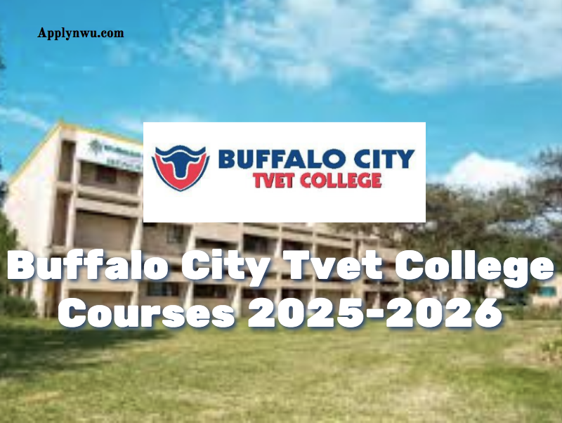 Buffalo City Tvet College Courses 2025-2026 - TVET Colleges