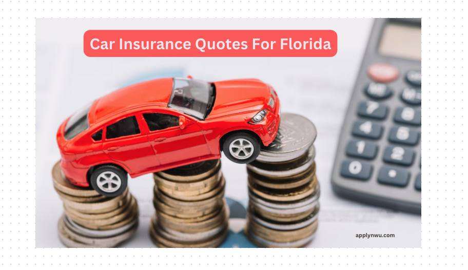 Car Insurance Quotes For Florida - TVET Colleges